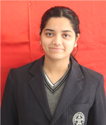 Somerville School, Noida