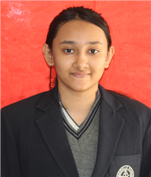 Somerville School, Noida