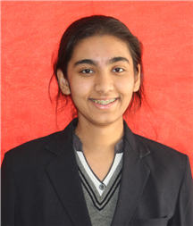 Somerville School, Noida