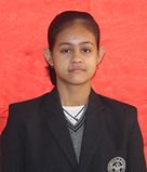 Somerville School, Noida