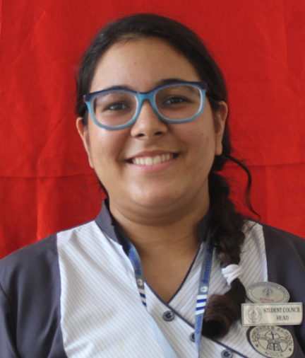 GALAXY OF SUPER ACHIEVERS OF CBSE CLASS XII 2017