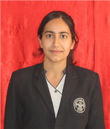 Somerville School, Noida