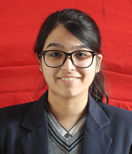 Somerville School, Noida